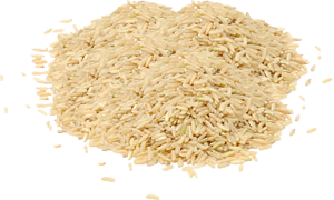 Only Eat These 5 Foods | 14 Day Fat Loss Plan